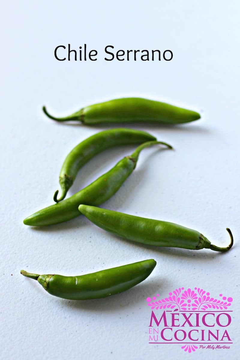 Chiles Frescos Mexicanos, encuentra aquí las variedades y tipos de chiles